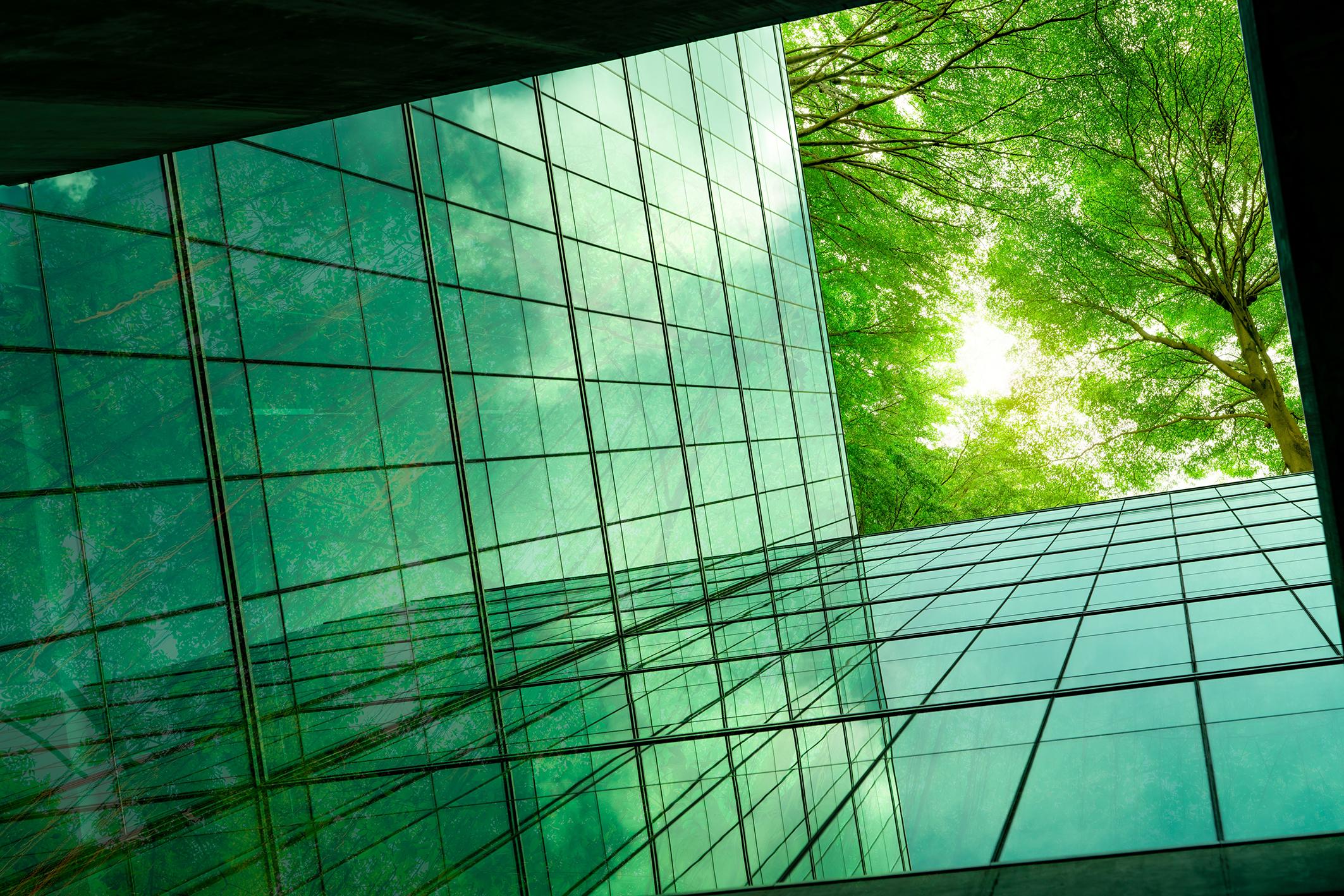 BPF LAUNCHES NET ZERO PLEDGE TO UNITE INDUSTRY IN TACKLING CARBON ...